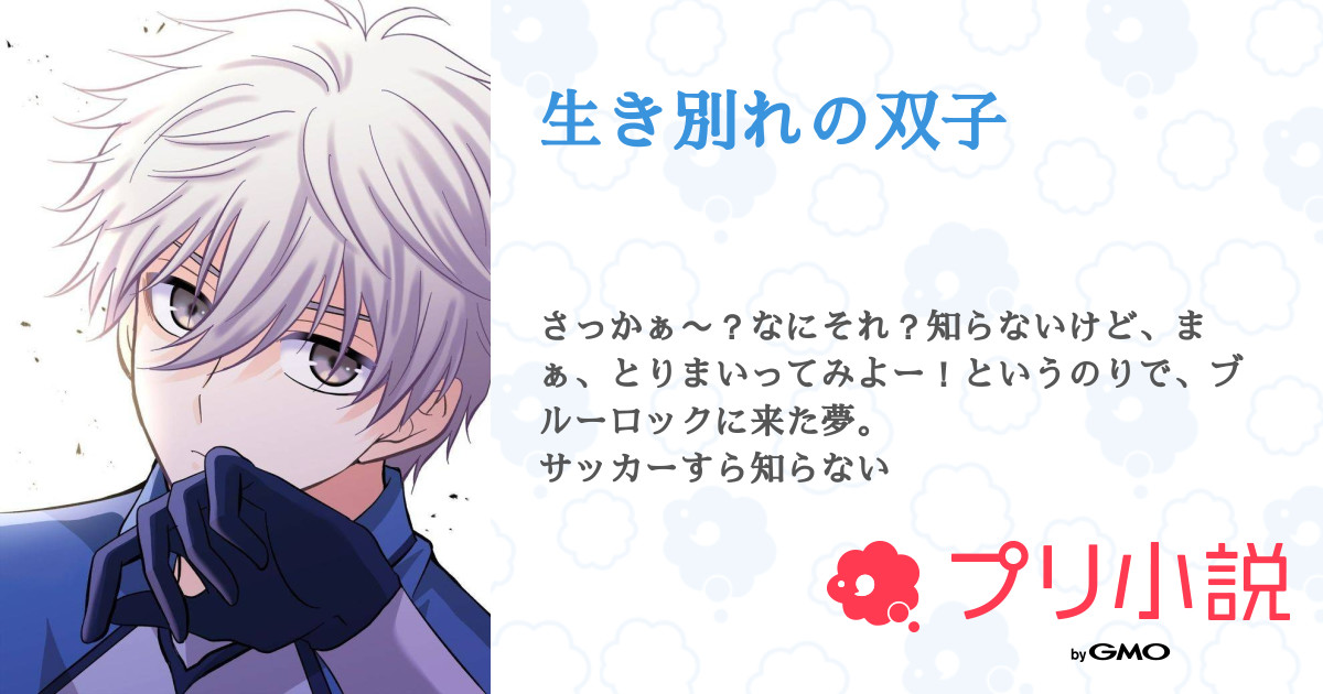 第43話：♪40.5 虐め…？（生き別れの双子）｜無料スマホ夢小説ならプリ小説 byGMO